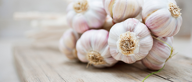 Garlic: wide-ranging anti-infective properties - Blackmores Institute
