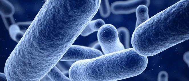 Gut Health: Latest Science Revealed | Blackmores Institute