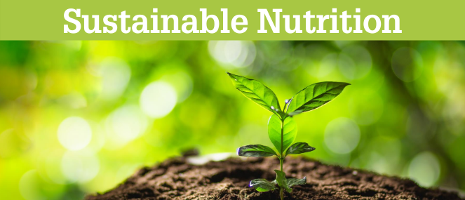 Sustainable Nutrition | Blackmores Institute